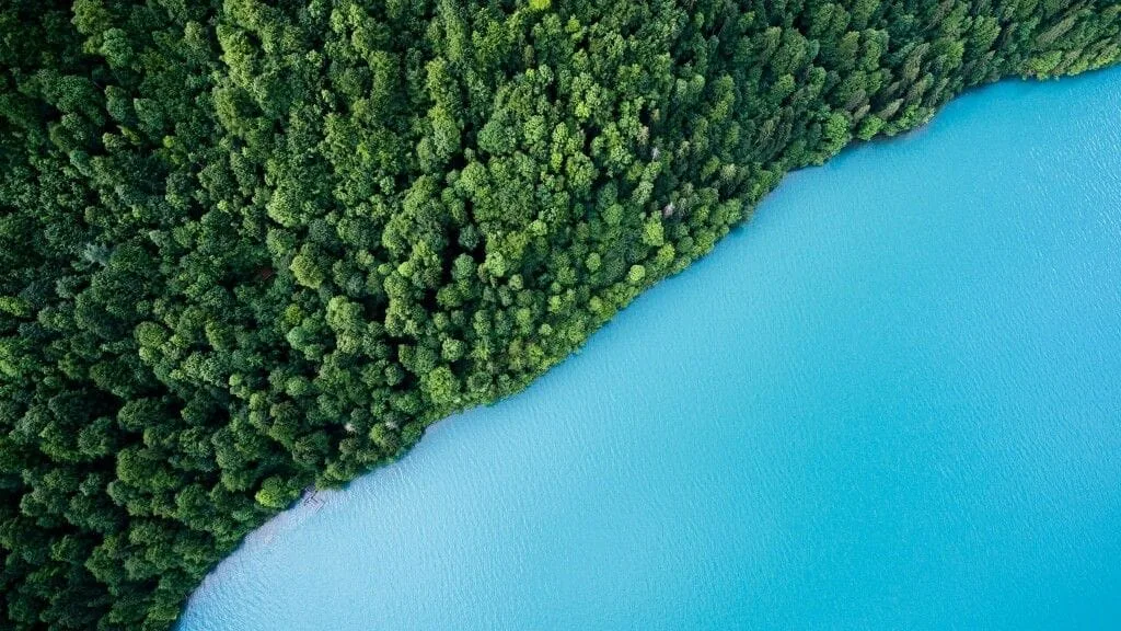 Can LiDAR save the Earth? | Insights